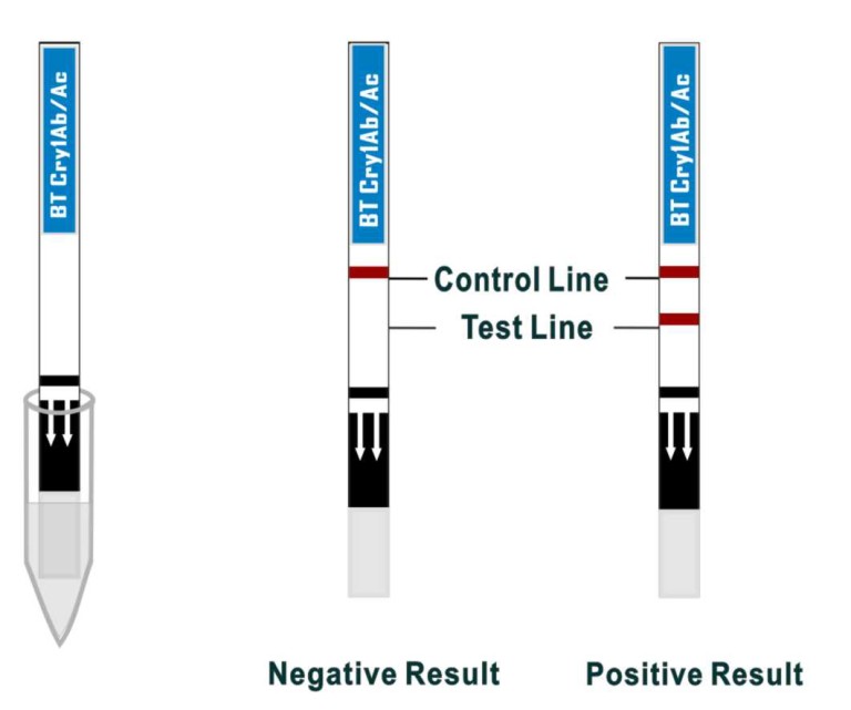 GMO & Pesticide Residue Test – Royal Biotech